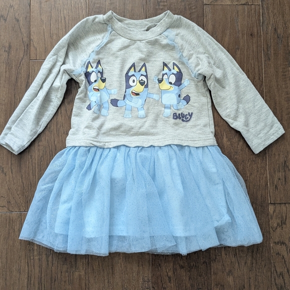 Bluey | Dresses | Bluey Kids Dress With Tulle Skirt | Poshmark